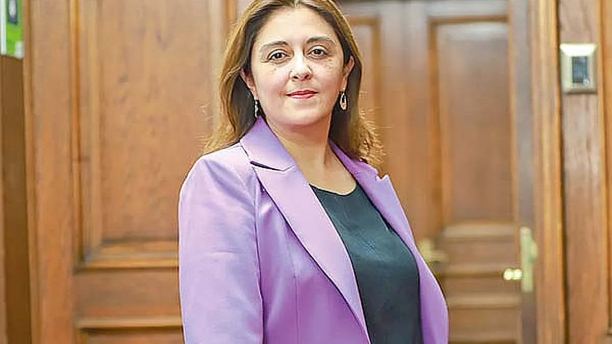 Crisis en el Gobierno: renuncia ministra de Bienes Nacionales tras ...